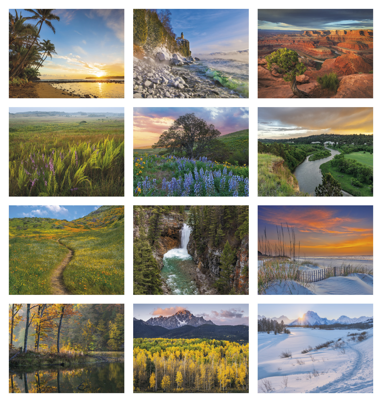 Contemplations 13-Month Full-Size Spiral Wall Calendar- #425 ...